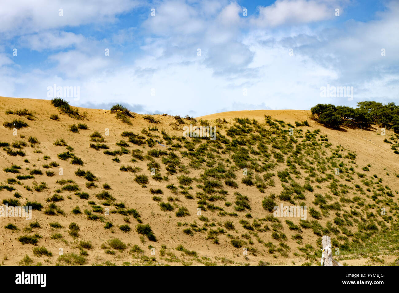Sand dune with vegetation under a partly cloudy sky. Nature's ...