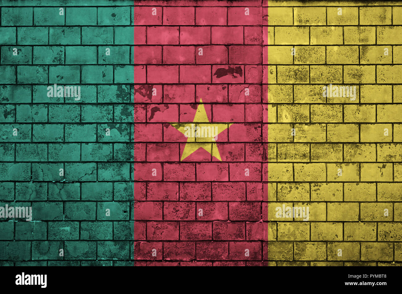 Cameroon flag is painted onto an old brick wall Stock Photo - Alamy