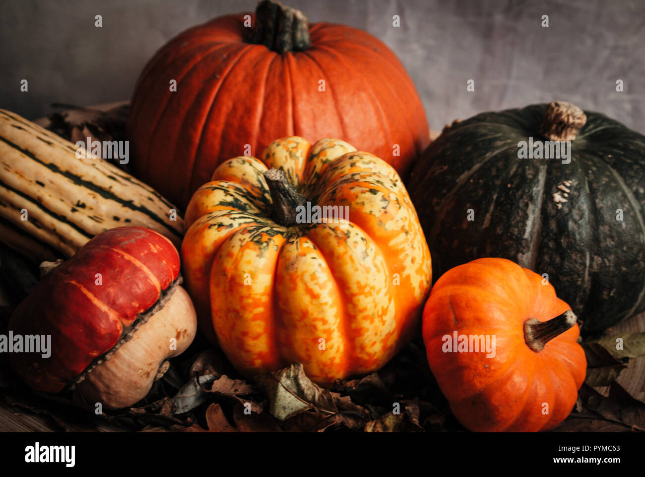Colorful Pumpkin Patch Arrangement Stock Photo - Alamy