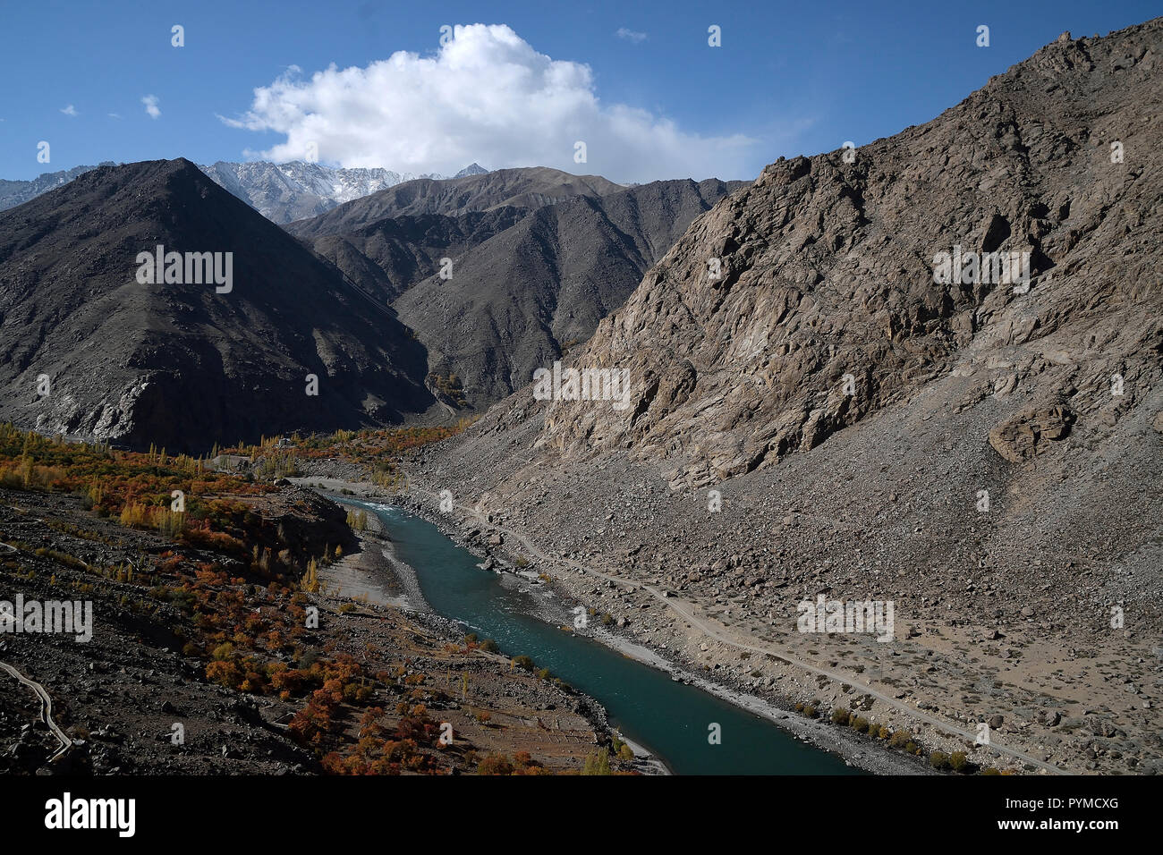 Apple tree at ladakh hi-res stock photography and images - Alamy