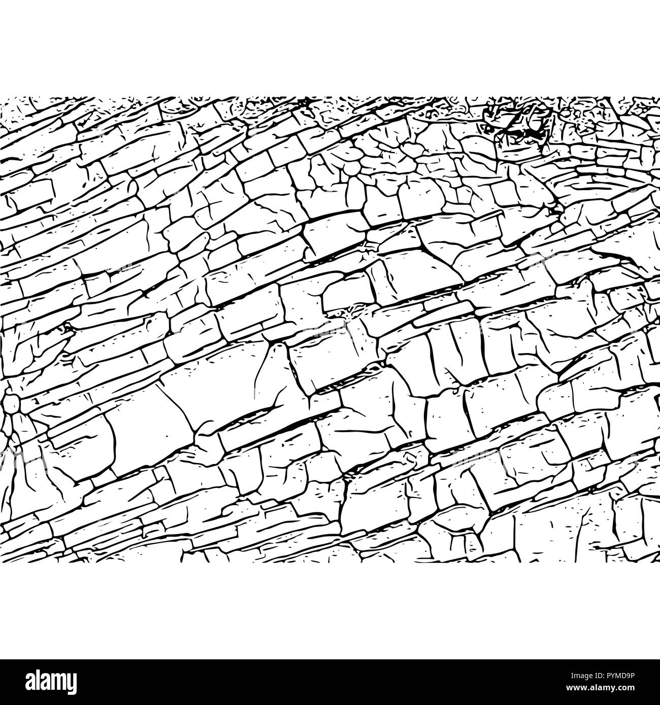 Cracked Stone Texture Vector