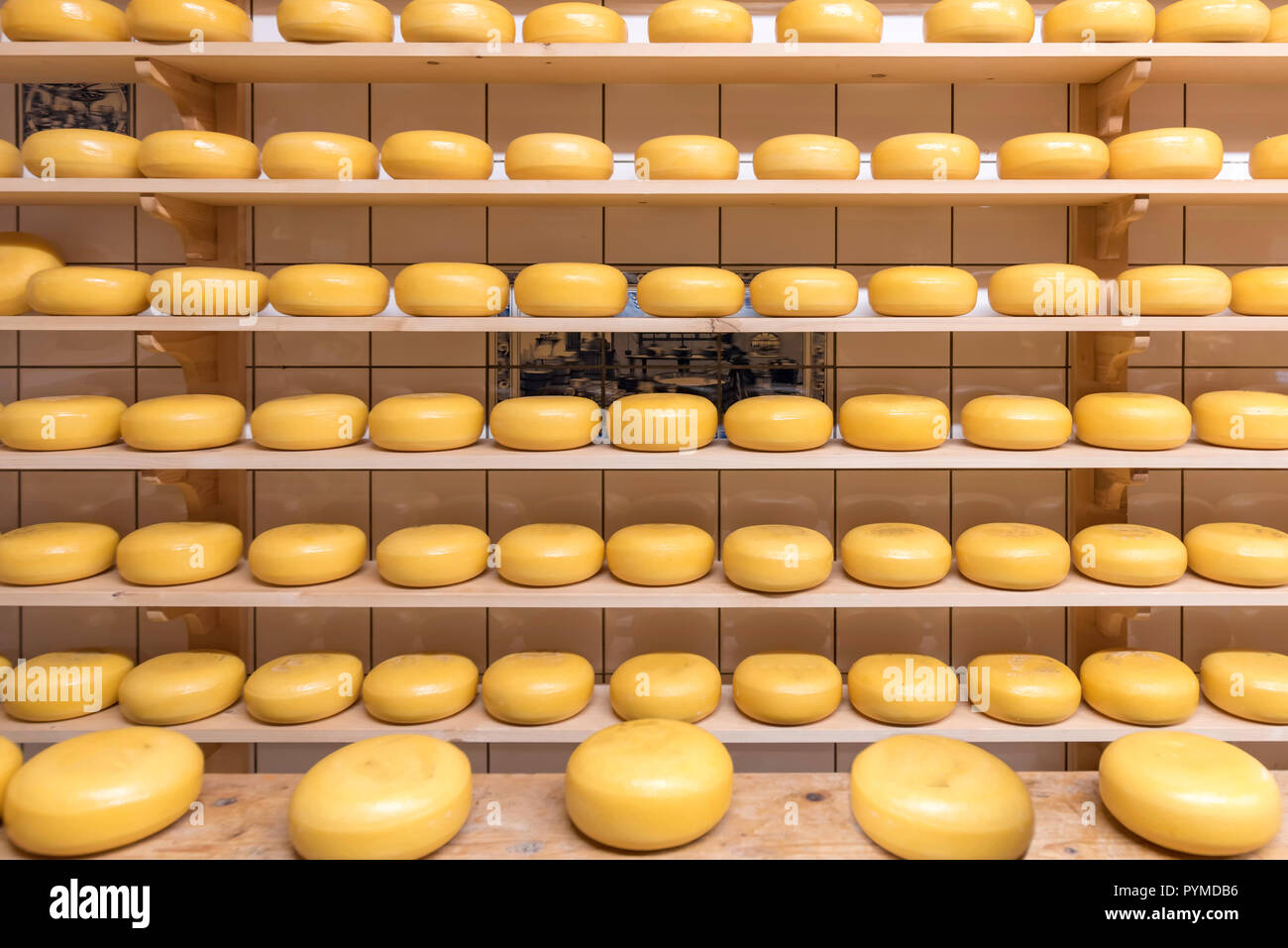 Block of Dutch cheese displayed on the tray in the cheese shop at ...