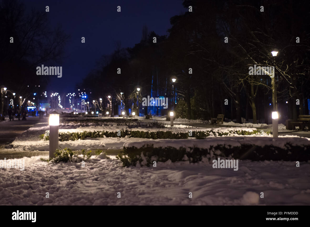 Deserted park in winter at night. Snow-covered landscape Stock Photo ...