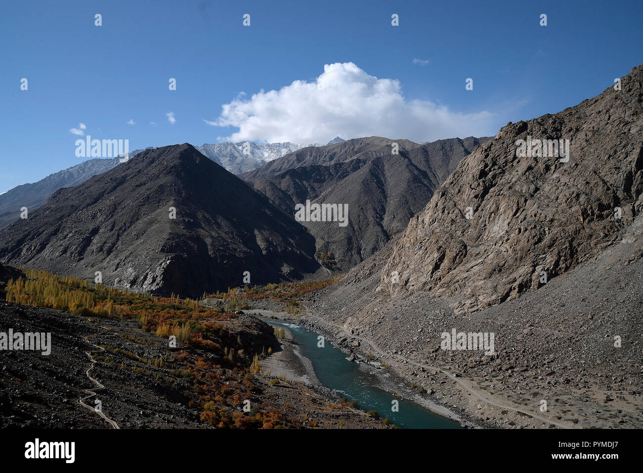 Apple tree at ladakh hi-res stock photography and images - Alamy