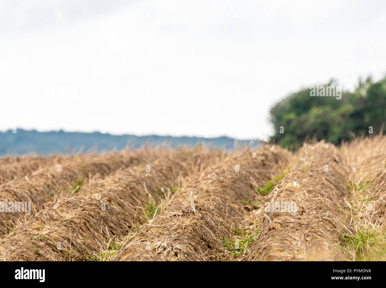 Soil mounds hi-res stock photography and images - Alamy