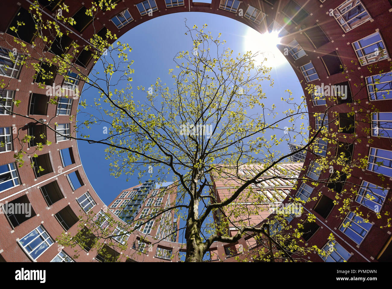 Concentric view at the center of a round and tube brick building at ...