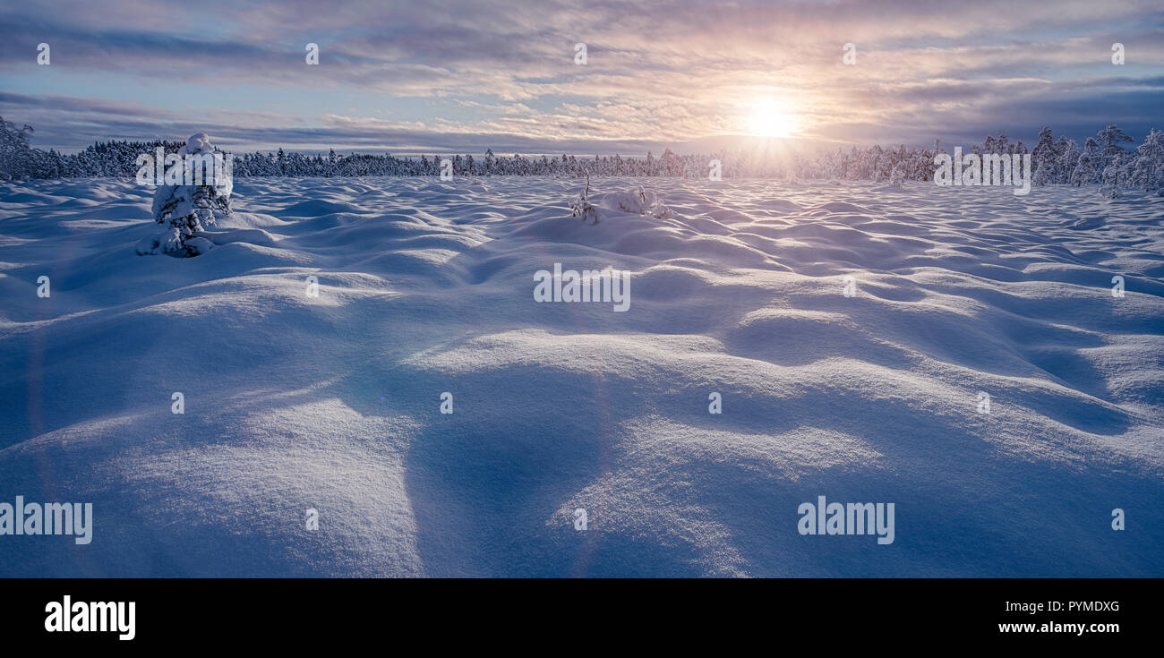 Winter landscape at sunset with bumpy snow texture Stock Photo - Alamy