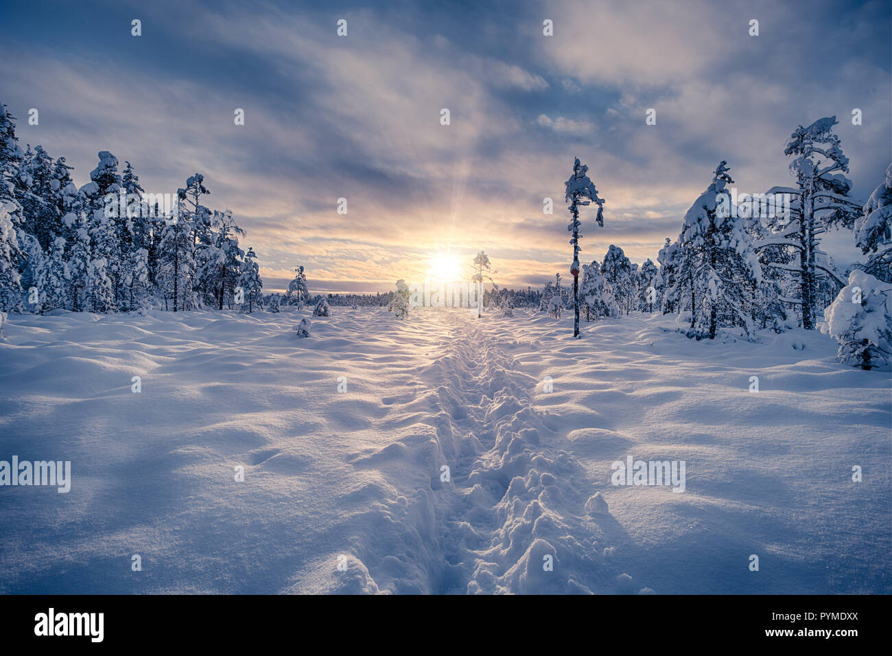 Trail on a snow leading towards sunset. Winter landscape scene Stock ...