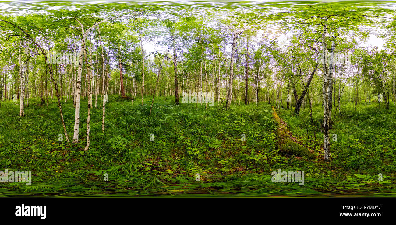 360vr equirectangular panorama hi-res stock photography and images - Alamy