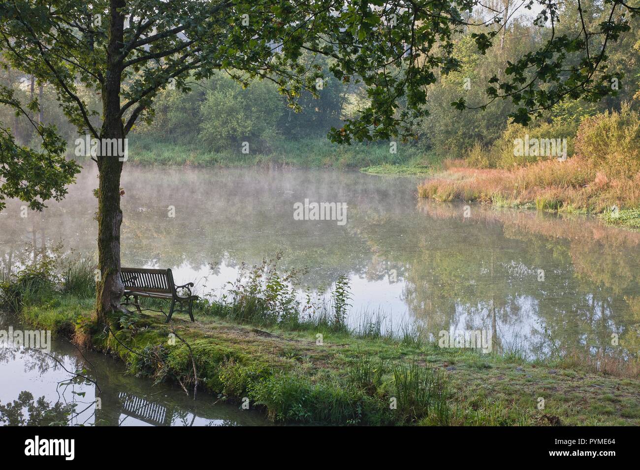 CALM LAKE SCENE IN EARLY MORNING LIGHT Stock Photo - Alamy
