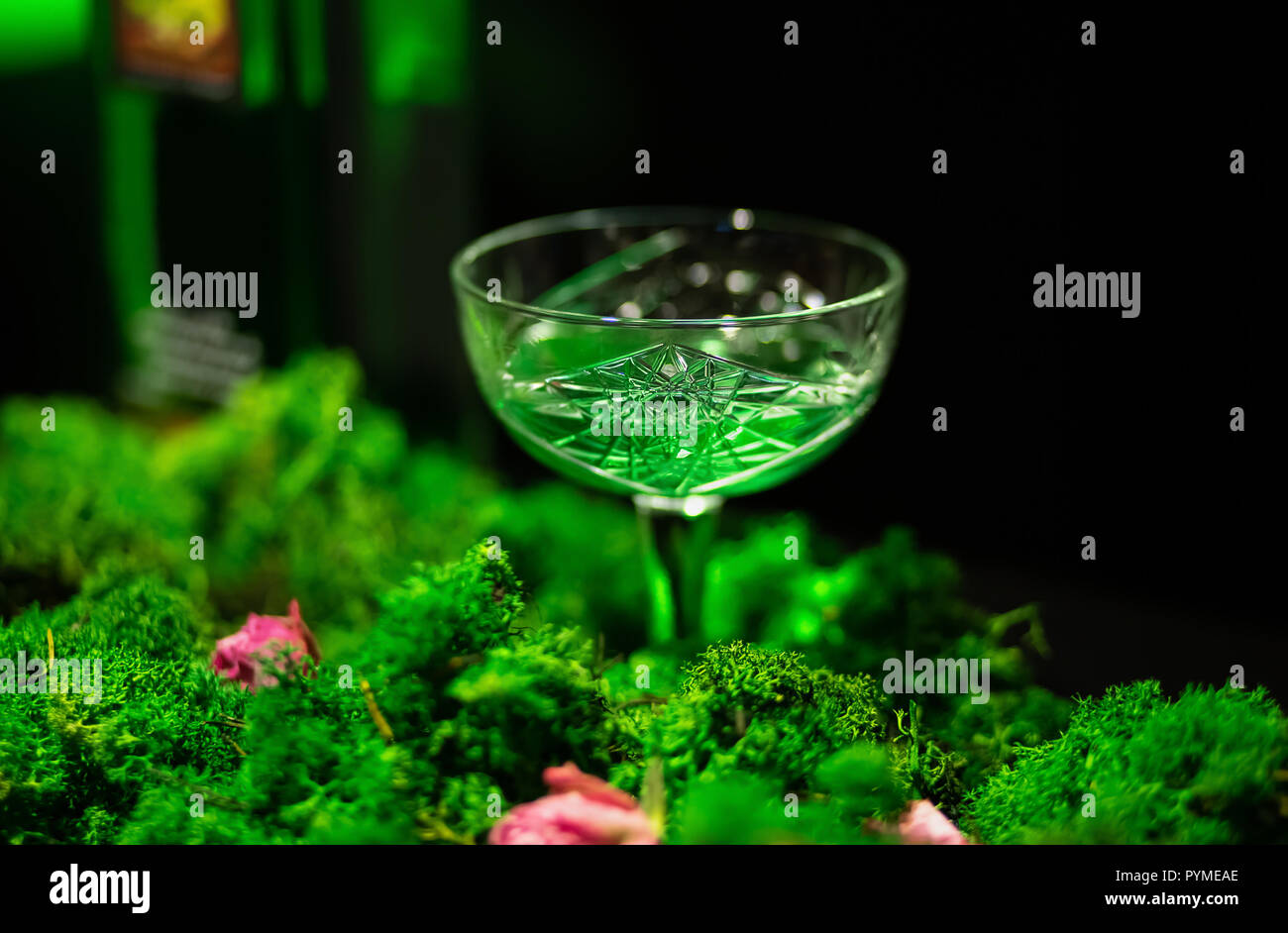 Absinthe glass. Composition with bottle and leaves of Artemisia ...
