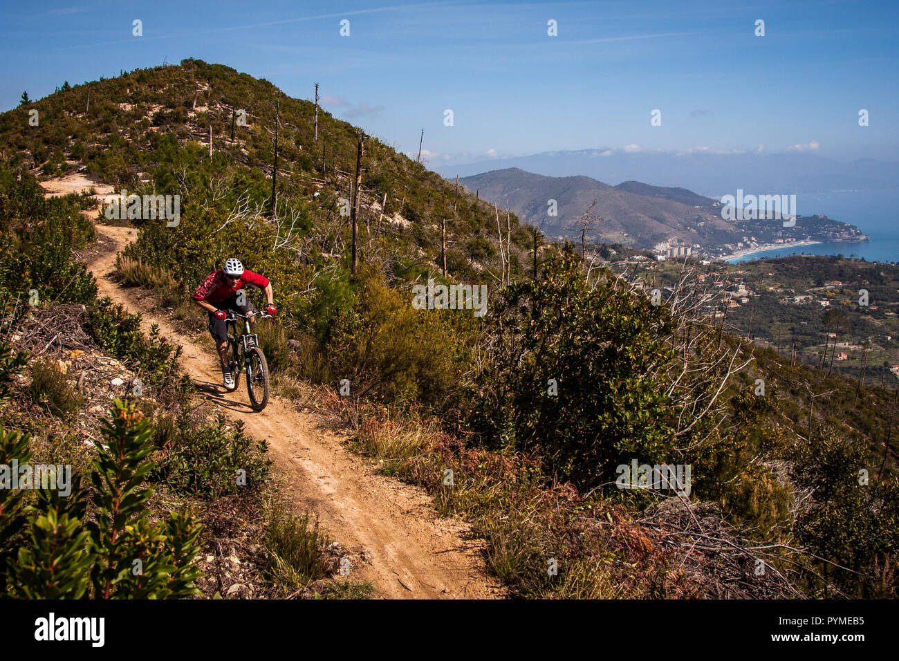 Narrow cycle track hi-res stock photography and images - Alamy