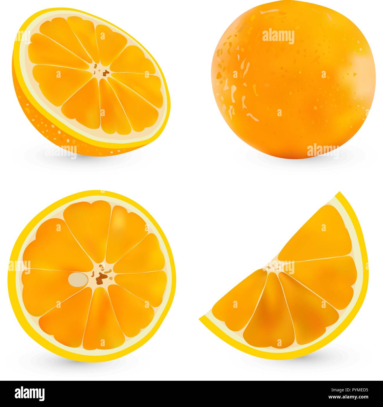 Vector set realistic whole orange and half orange isolated on white ...