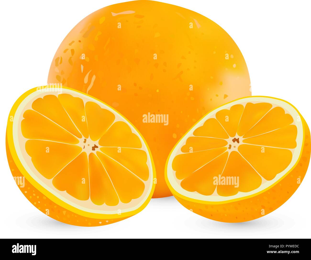 Vector set realistic whole orange and half orange isolated on white ...