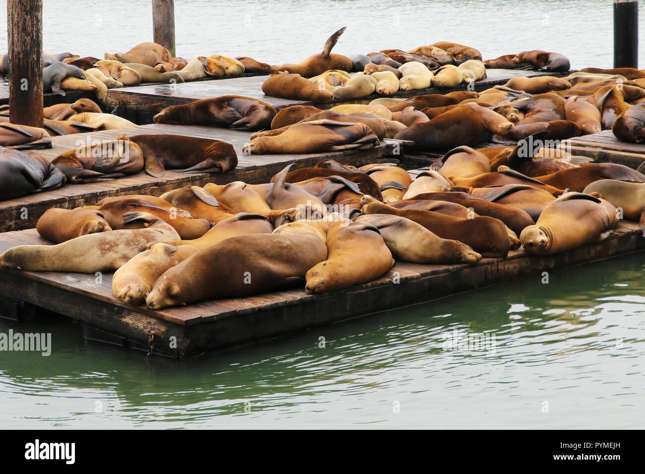 Seal beach pier hi-res stock photography and images - Alamy