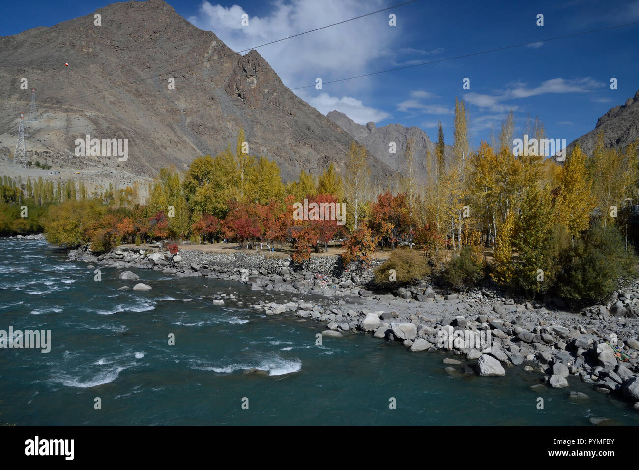 Apple tree at ladakh hi-res stock photography and images - Alamy