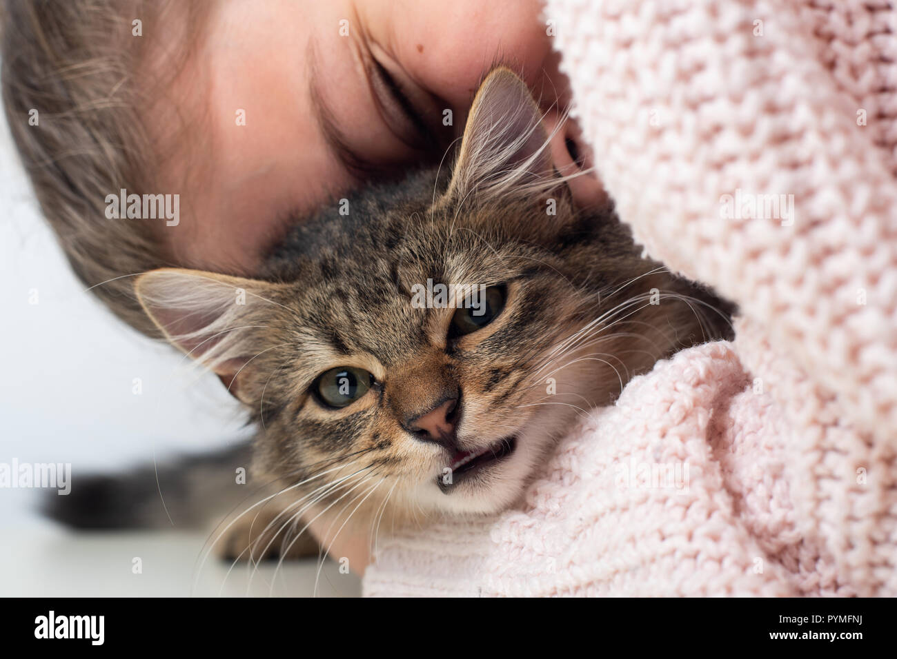Little four month mixed breed kitten on white background Stock Photo ...