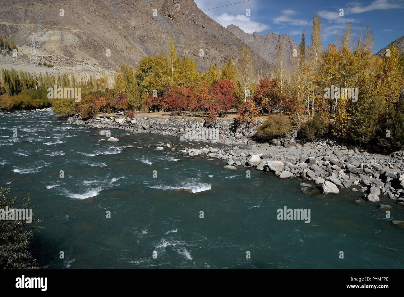 Apple tree at ladakh hi-res stock photography and images - Alamy