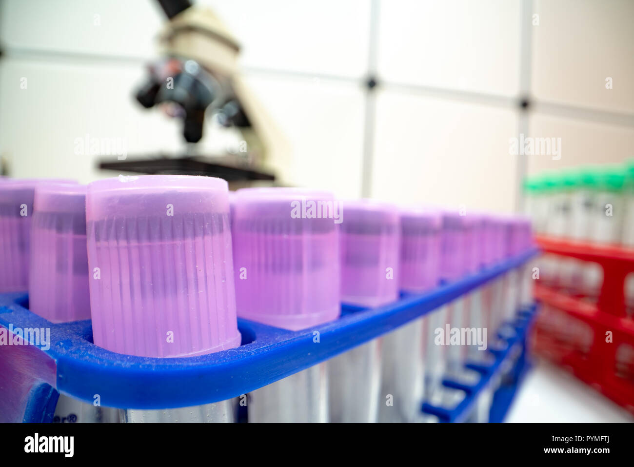 Test tubes in the medical lab. science laboratory test tubes ...