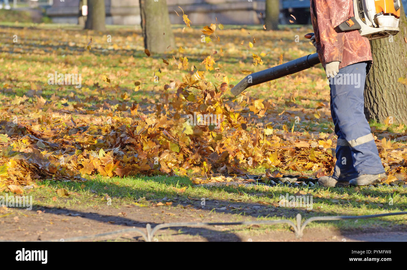 Mechanical cleaning leaves.Leaves clean high pressure air Stock Photo ...