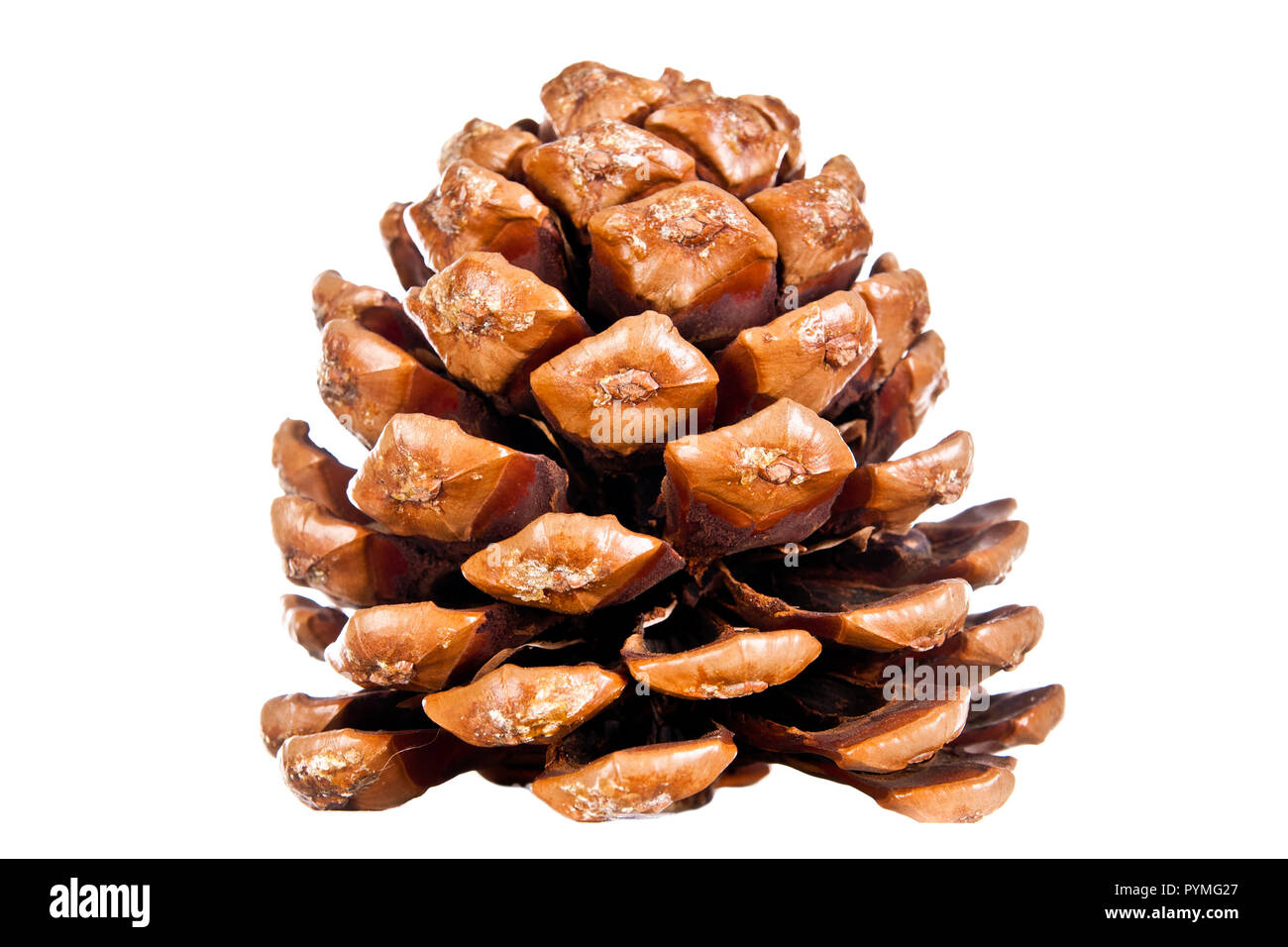 cone isolated on a white background Stock Photo - Alamy