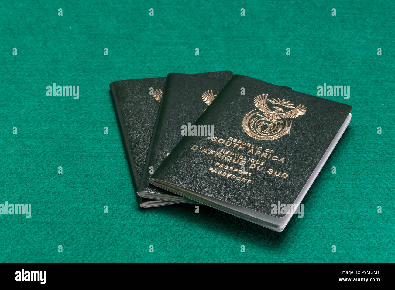 South African passports on green background Stock Photo - Alamy