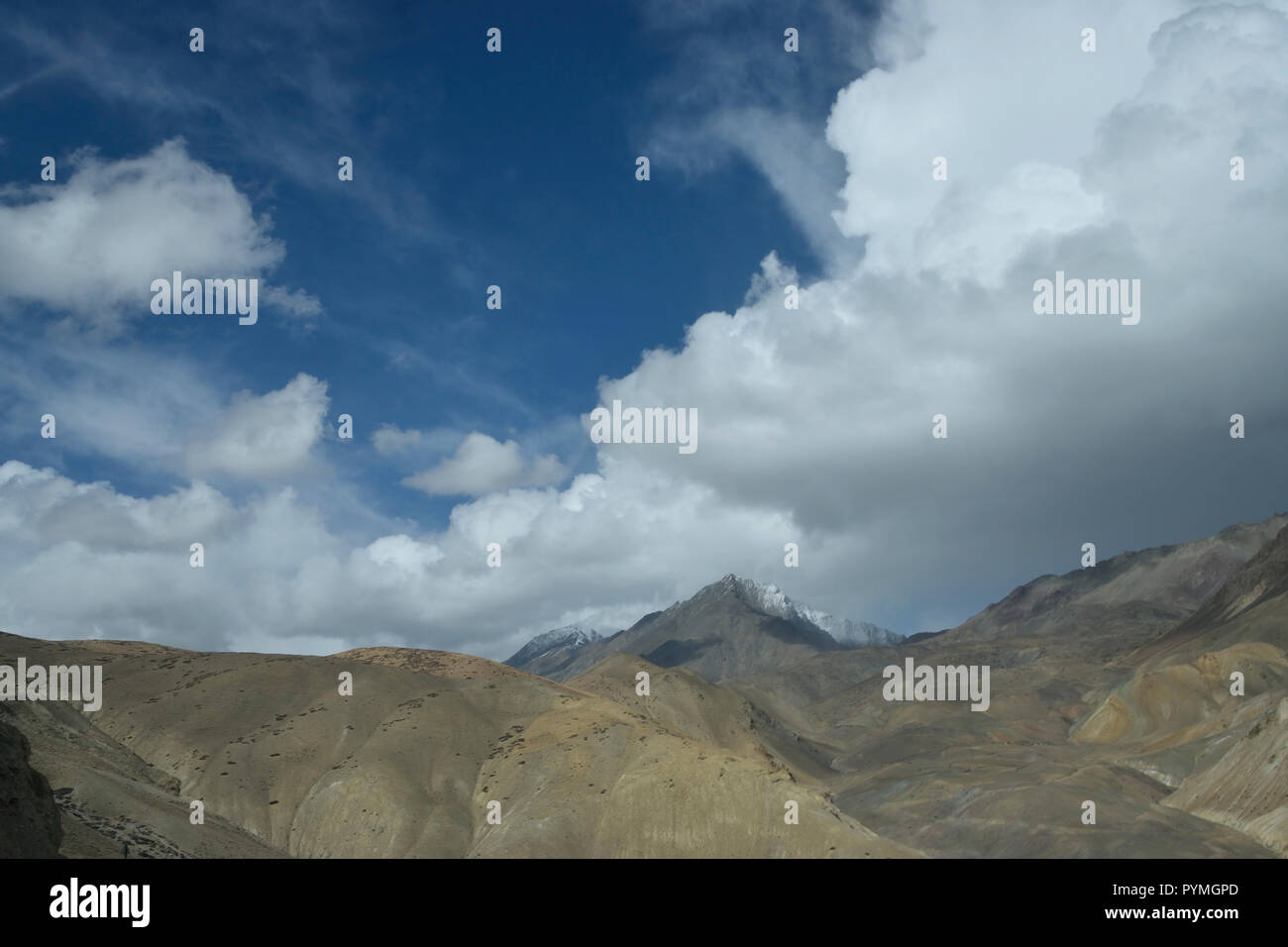 Apple tree at ladakh hi-res stock photography and images - Alamy