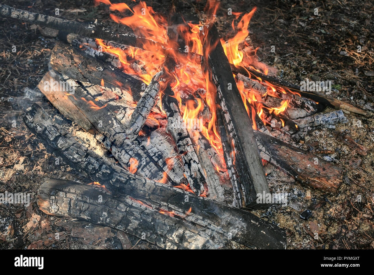 burning wood campfire on the ground Stock Photo - Alamy