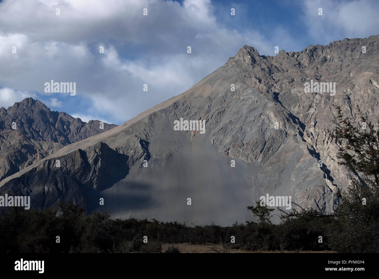 Apple tree at ladakh hi-res stock photography and images - Alamy
