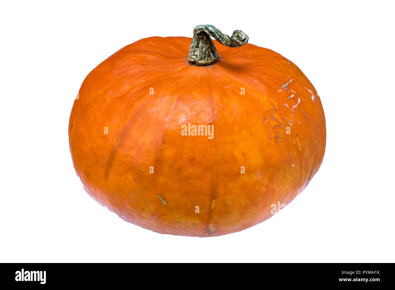 autumn pumpkin with tail isolated on white background Stock Photo - Alamy