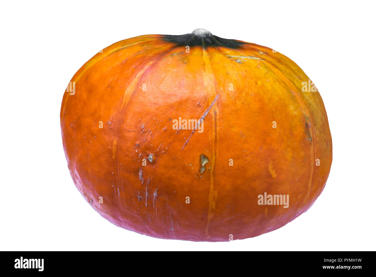 ugly autumn pumpkin isolated on white background Stock Photo - Alamy
