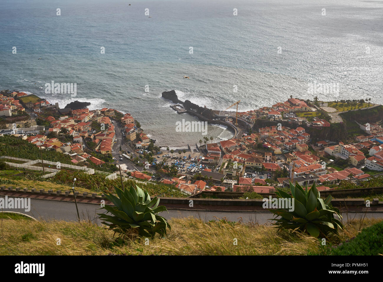 Torre de cactus hi-res stock photography and images - Alamy