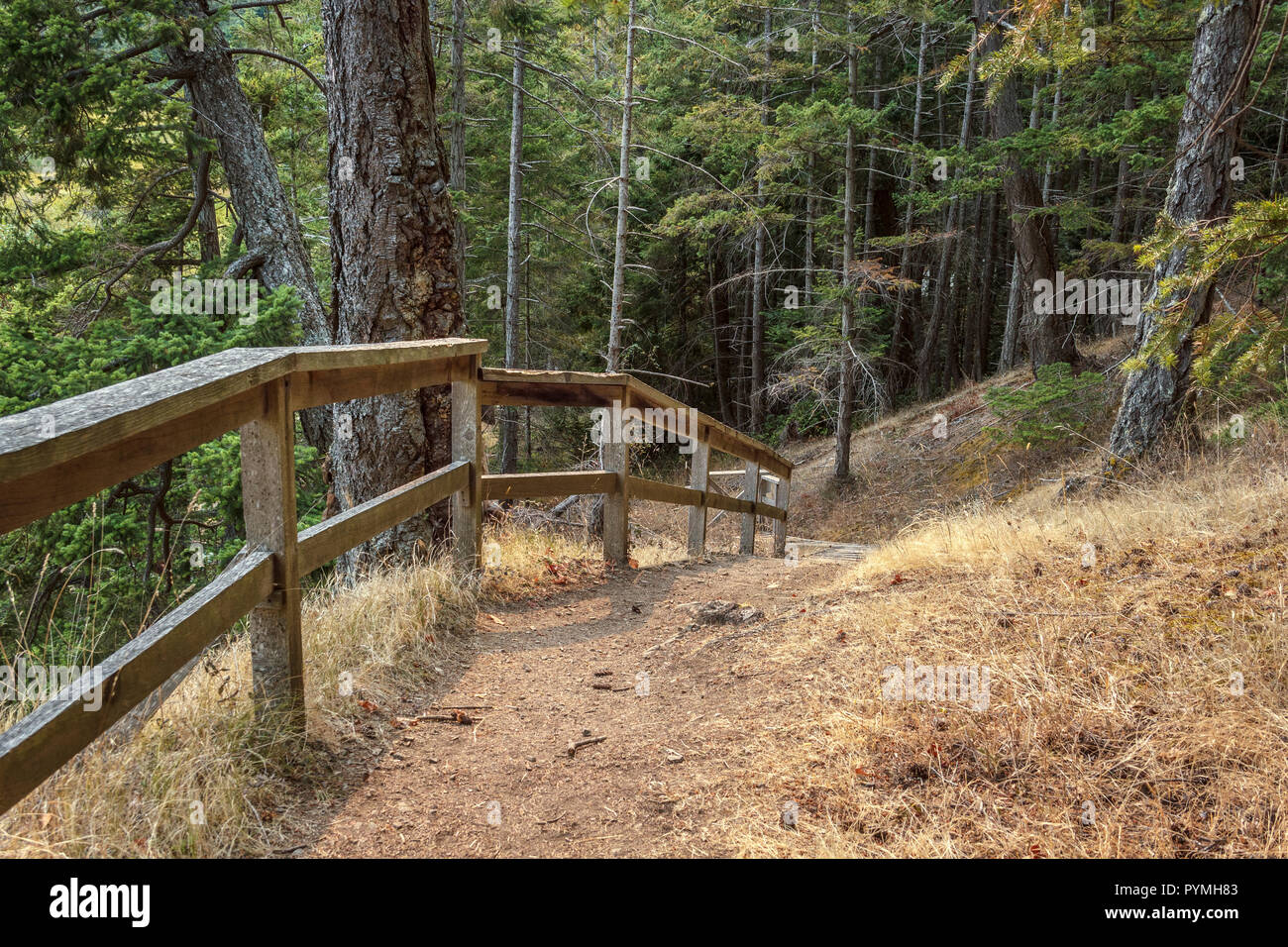 Trail downhill walkway hi-res stock photography and images - Alamy