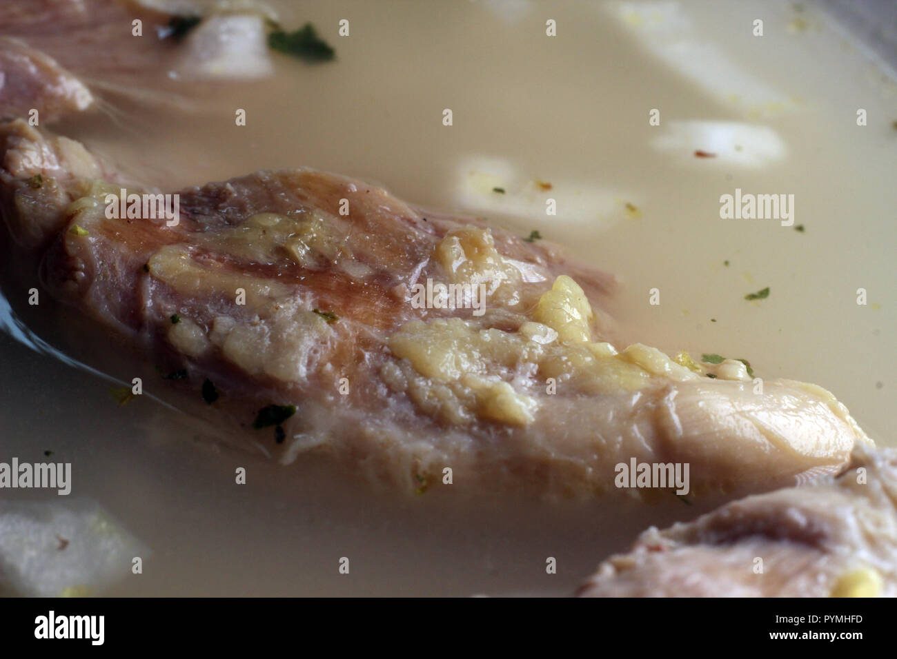 Wallpaper Fat Chicken