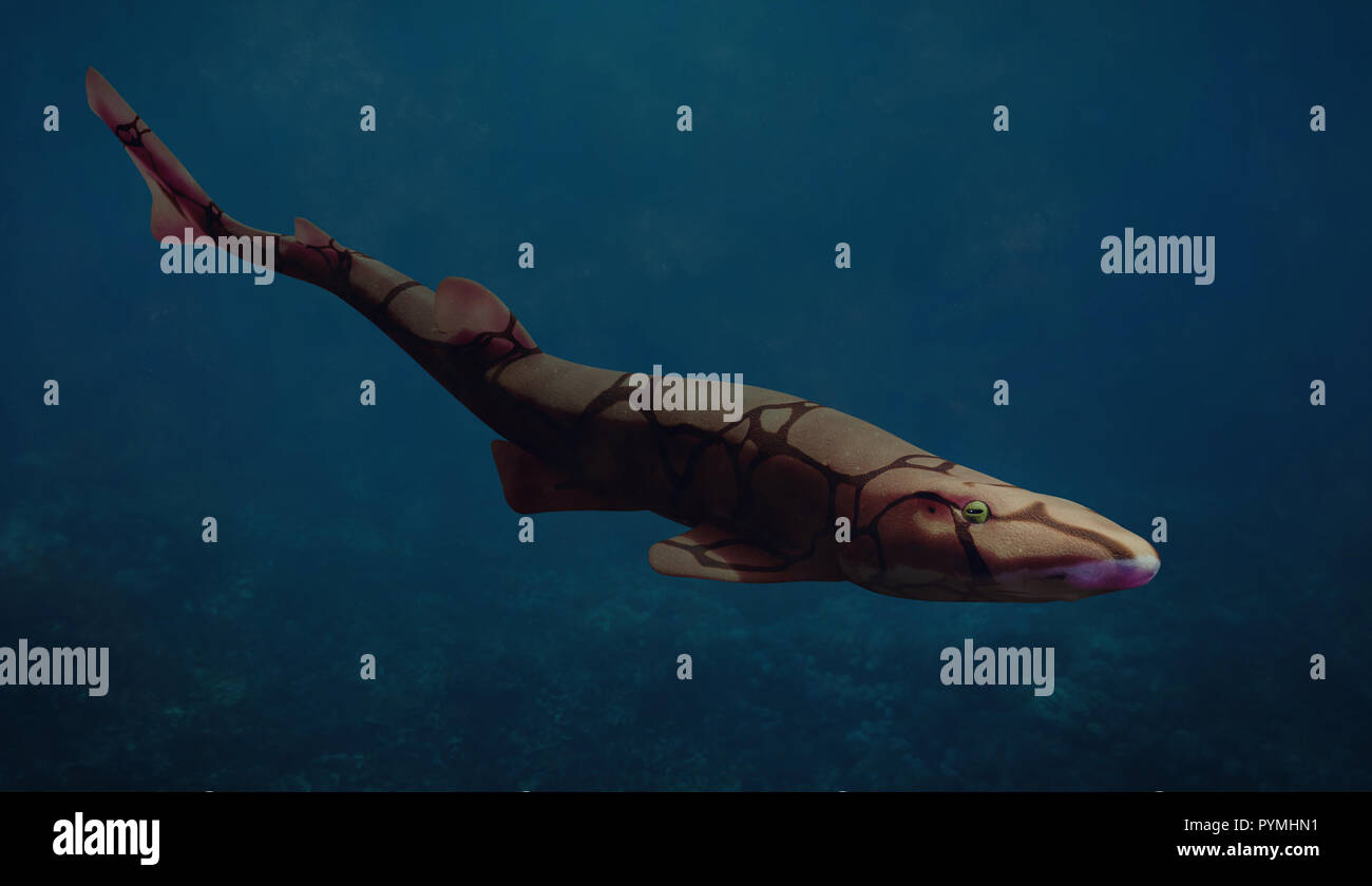 Biofluorescent shark hi-res stock photography and images - Alamy