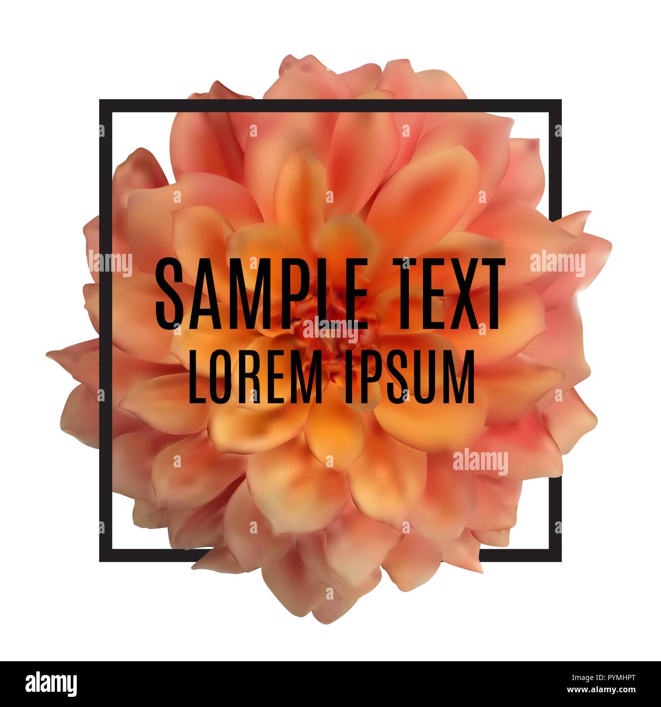 Frame pink rose flower Cut Out Stock Images & Pictures - Alamy