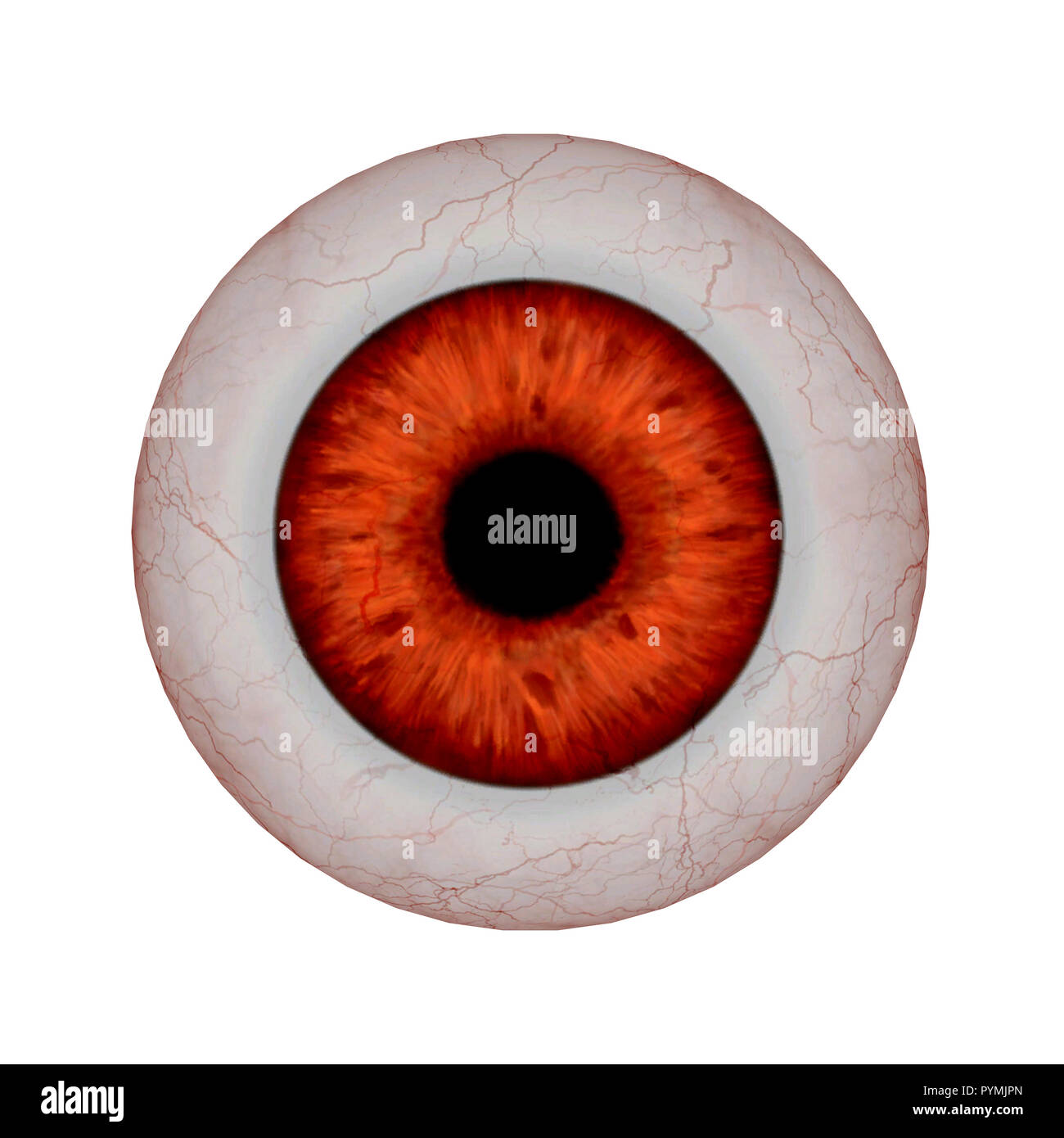 Scary eyes Cut Out Stock Images & Pictures - Alamy