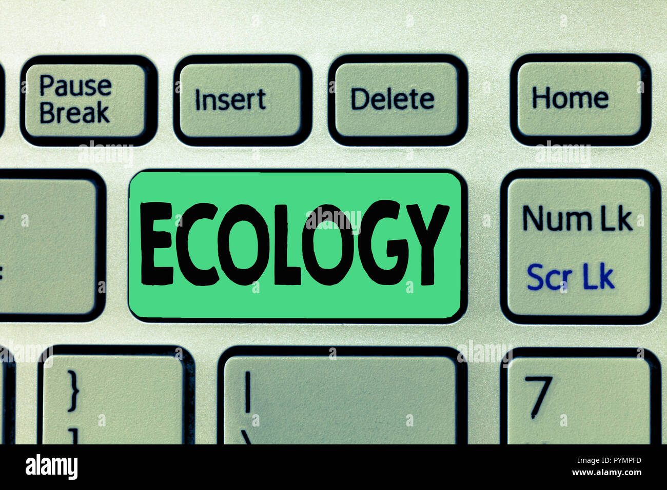 Handwriting text writing Ecology. Concept meaning Branch of science ...