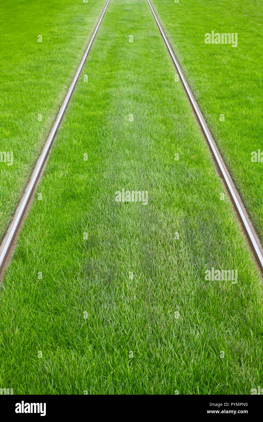 Tram tracks green tracks hi-res stock photography and images - Alamy