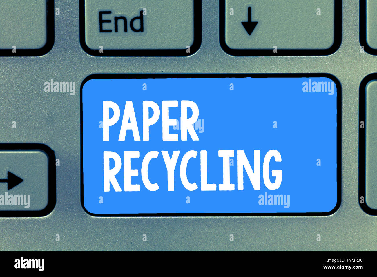 Word writing text Paper Recycling. Business concept for Using the waste ...