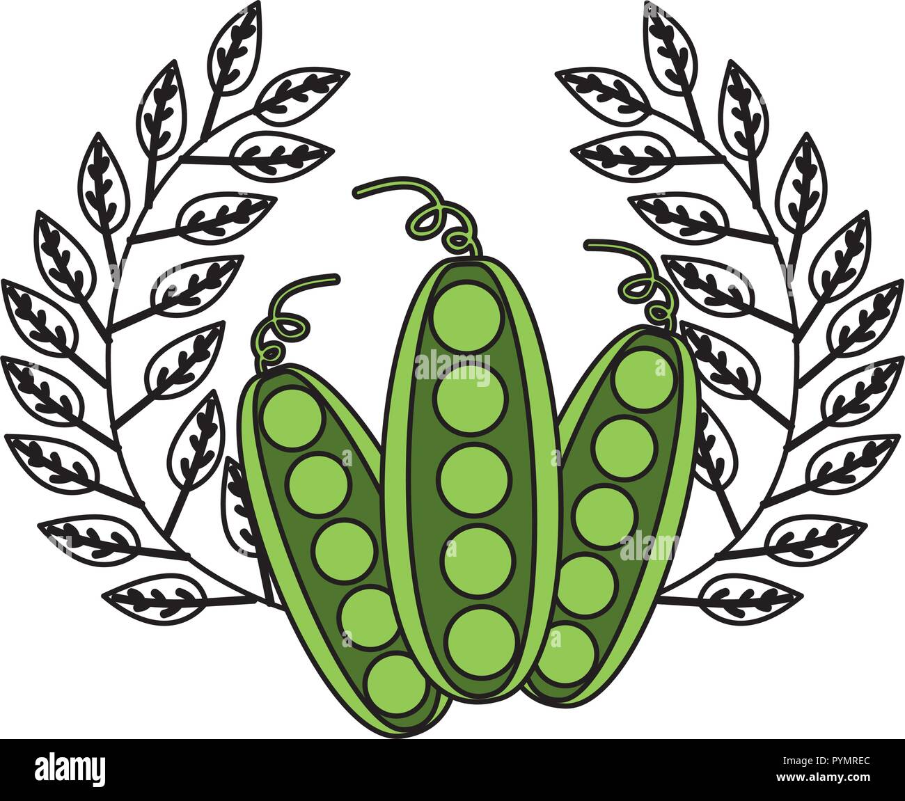 Fresh farm shop peas Stock Vector Images - Alamy