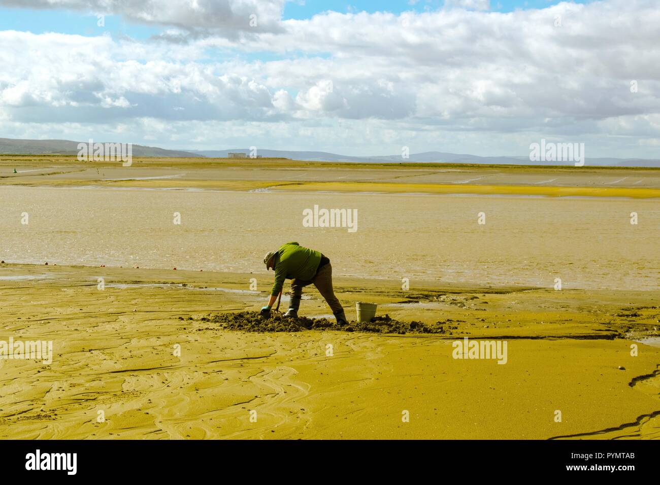 Digging for lugworm hi-res stock photography and images - Alamy