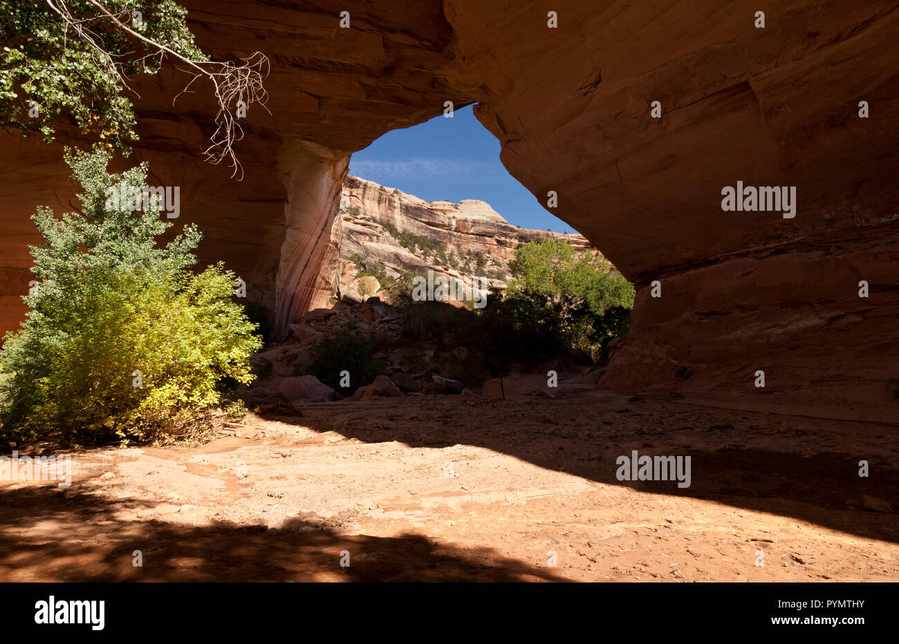 Utah natural bridges national monument kachina hi-res stock photography ...