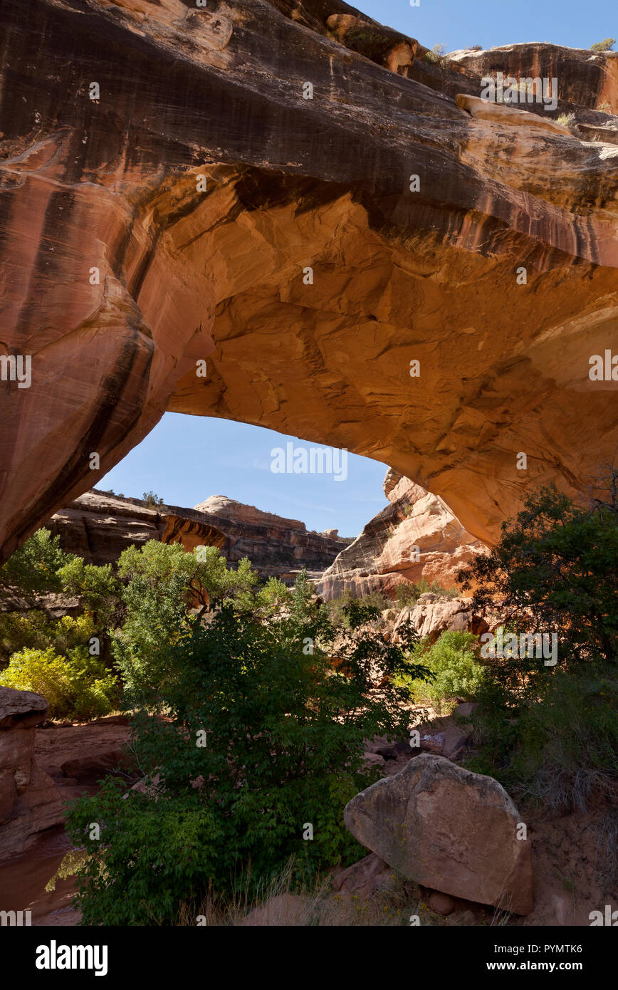 Kachina Bridge in Natural Bridges National Monument, Utah, USA Stock ...