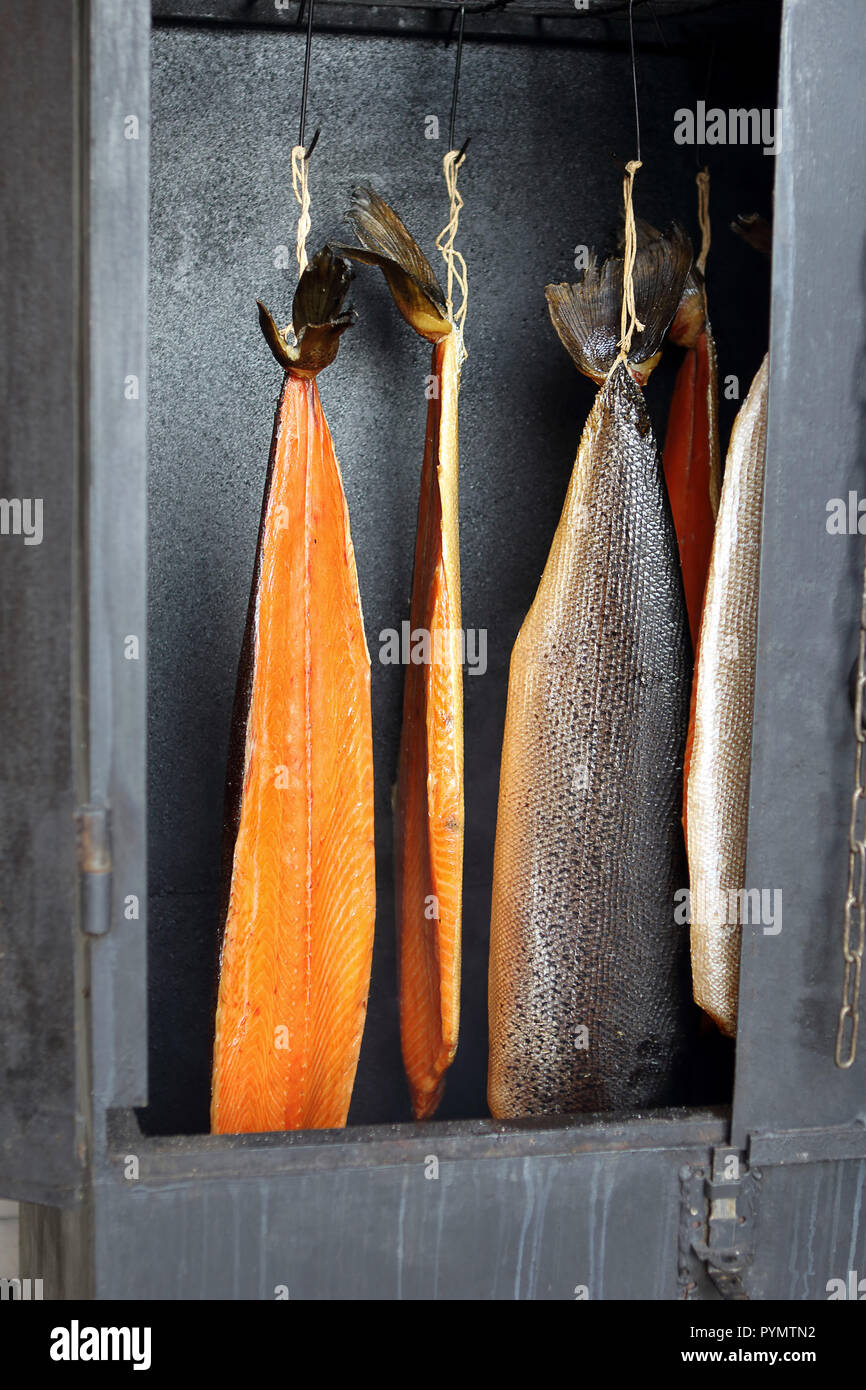 Golden smoked salmon fish in a smokehouse Stock Photo - Alamy