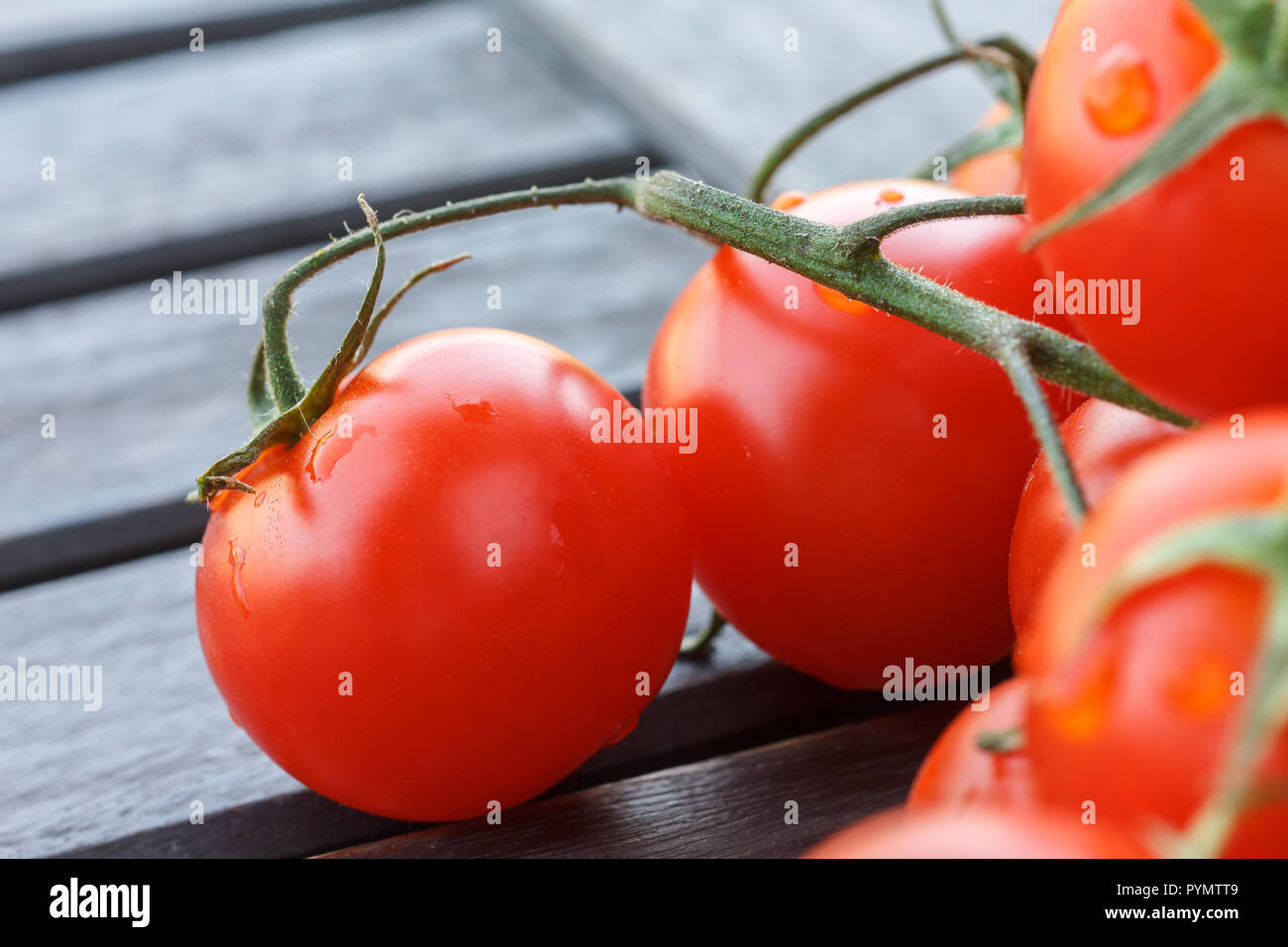 Lovely fresh small red tomatoes on the vine. Sitting on a dark wood ...