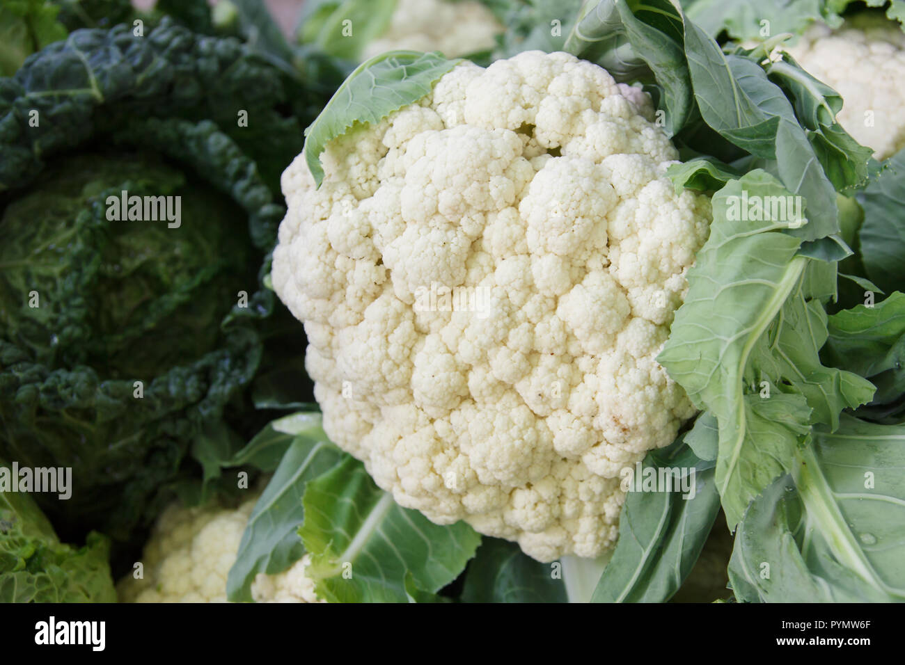 Whole fresh cauliflower mixed hi-res stock photography and images - Alamy
