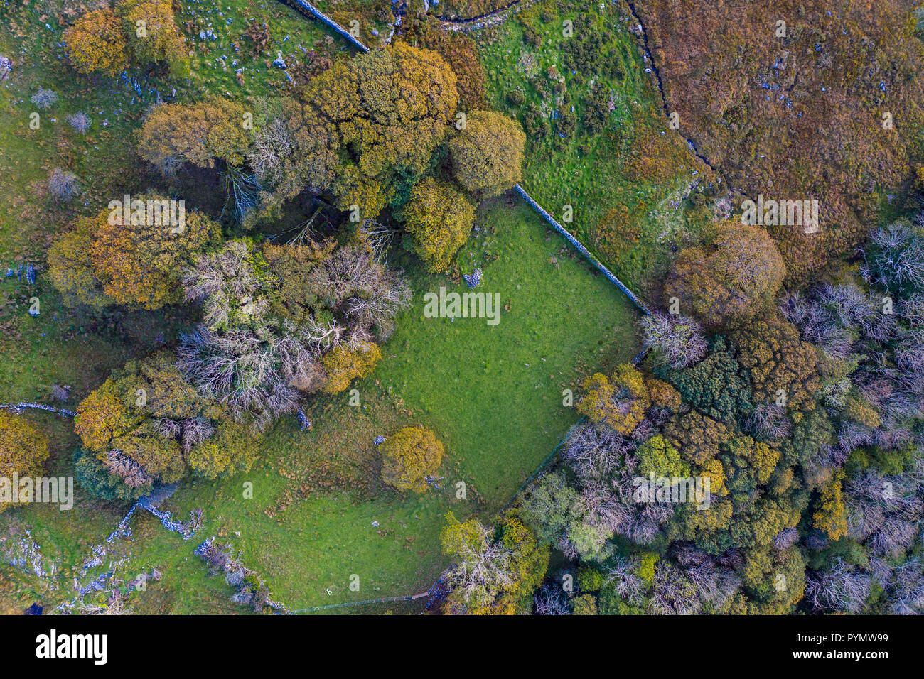 Overhead aerial view of countryside in North Wales Stock Photo - Alamy