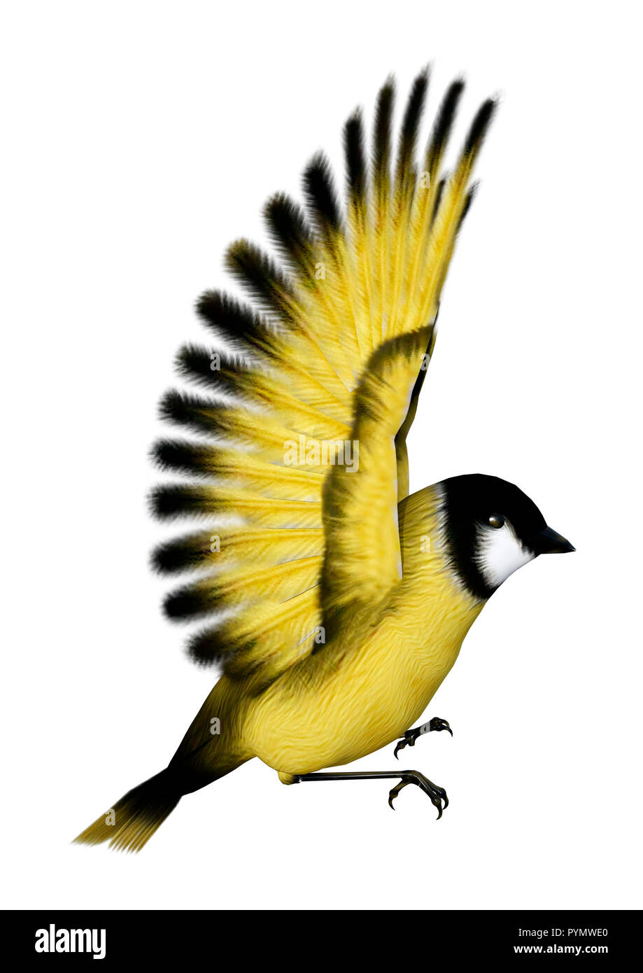 3D rendering of a flying songbird goldfinch isolated on white ...