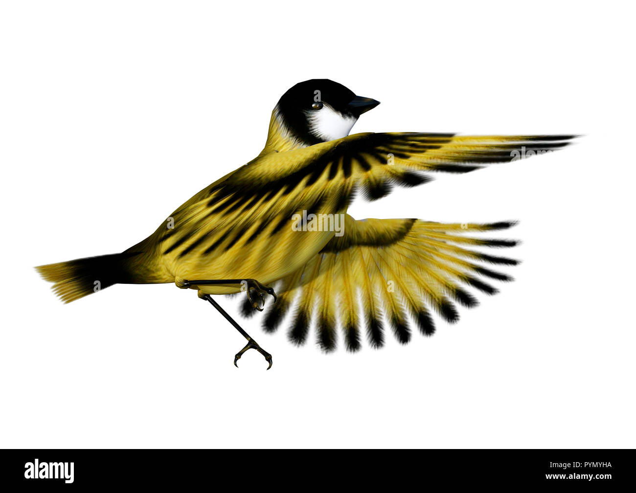 3D rendering of a flying songbird goldfinch isolated on white ...